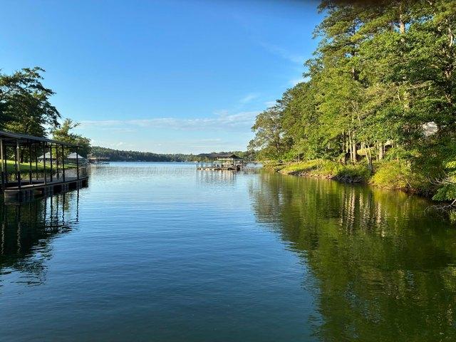Stoney Point Rd Lot 167, Double Springs, AL 35553