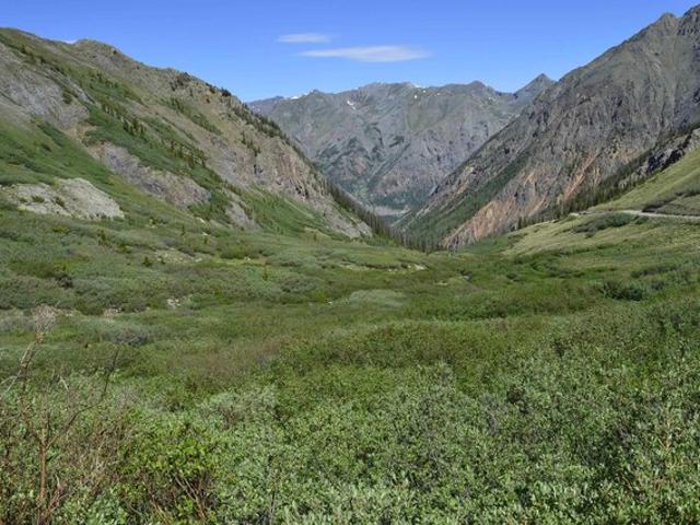 Stoney Pass, Silverton, CO 81433