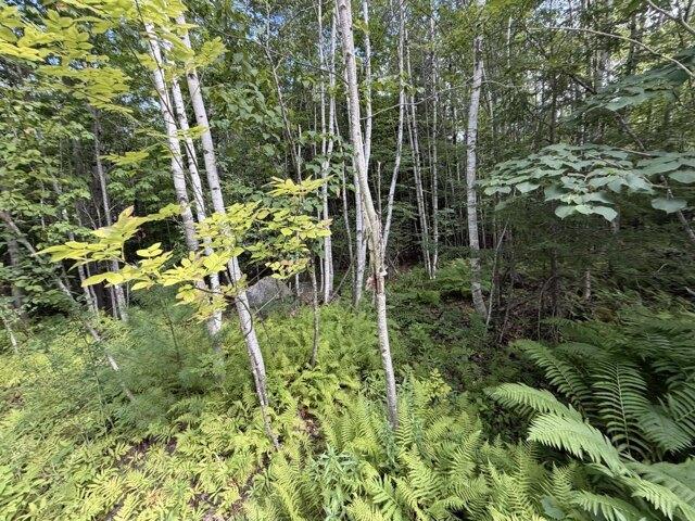 Stoneybrook Dr Lot,oakland, Plot For Sale