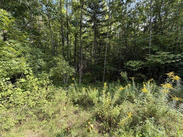 Stoneybrook Dr Lot,oakland, Plot For Sale