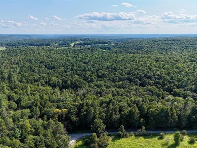 Stony Rd, Cochecton, NY 12726