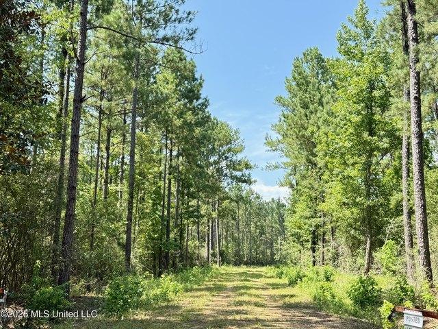 Storey Parkman, Oak Vale, MS 39656