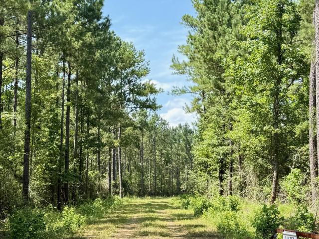 Storey Parkman, Oak Vale, MS 39656