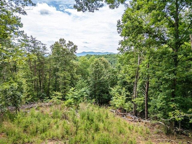 Stormy Rdg Lot 1, Brasstown, NC 28902
