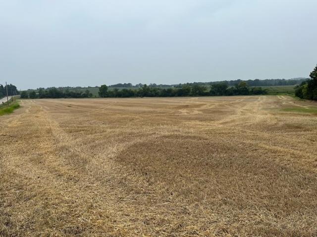 State 106 Rd Lot 1, Sumner, WI 53538
