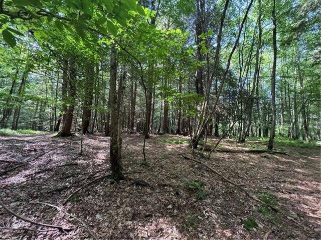 State Highway,oneonta, Plot For Sale