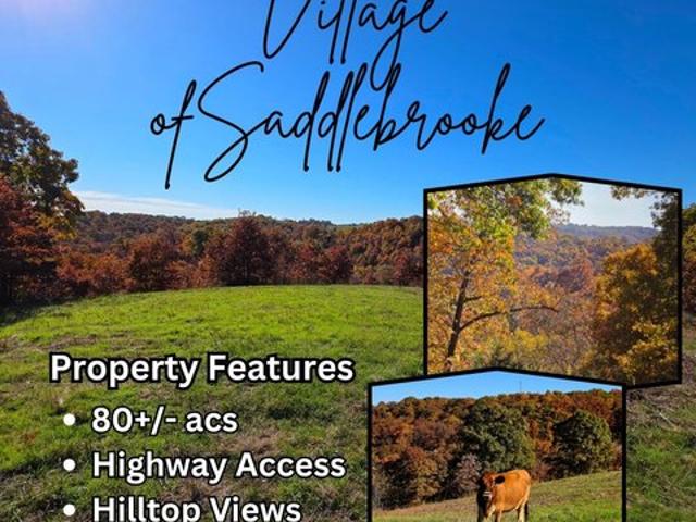 State Highway BB, Saddlebrooke, MO 65630