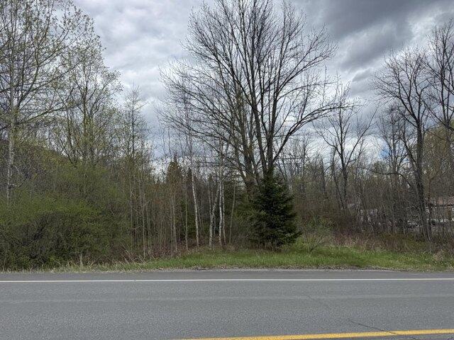 State Highway,parkman, Plot For Sale