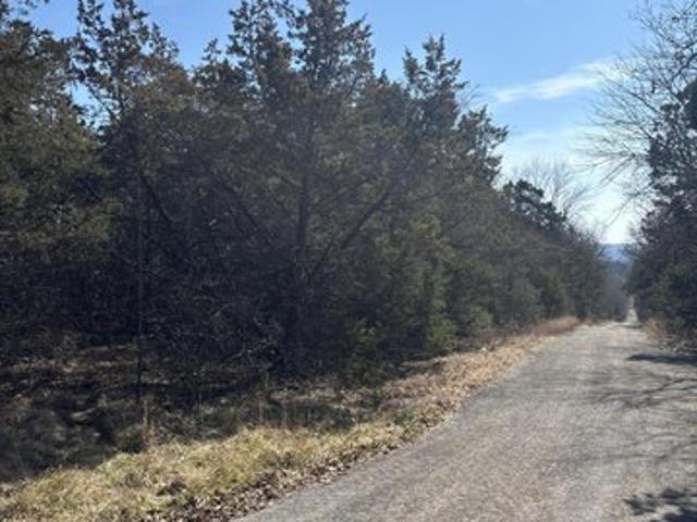 State Highway YY, Shell Knob, MO 65747