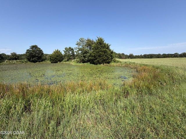 State Highway Y, Seneca, MO 64865