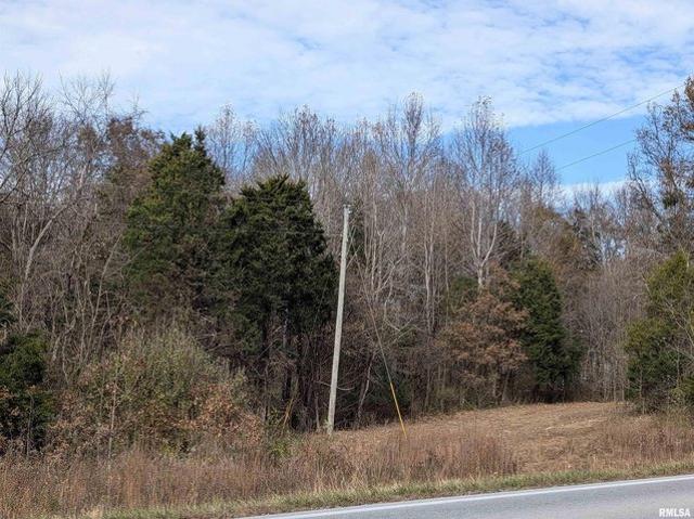 State Highway 145 N, Stonefort, IL 62987