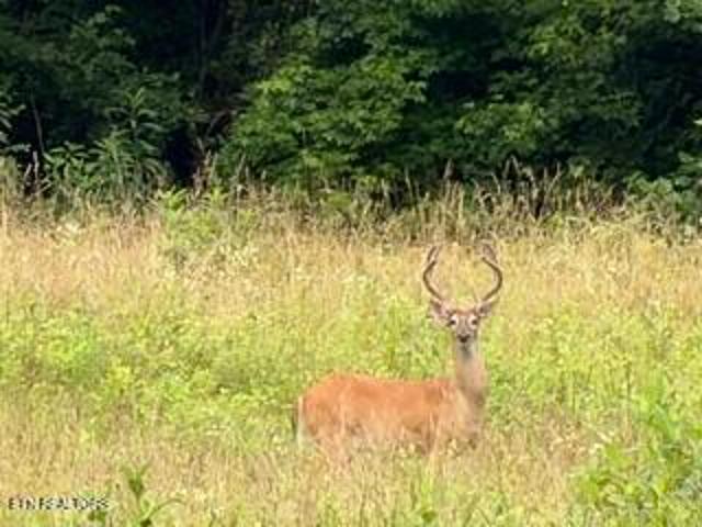State Highway 1534, Pineville, KY 40977