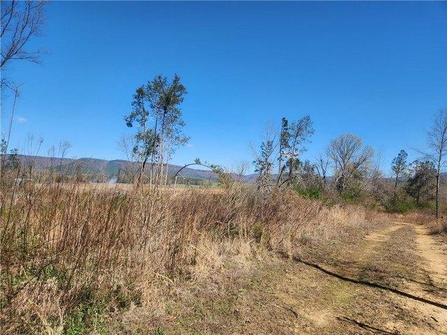 State Highway 164 Lot 0, Clarksville, AR 72830