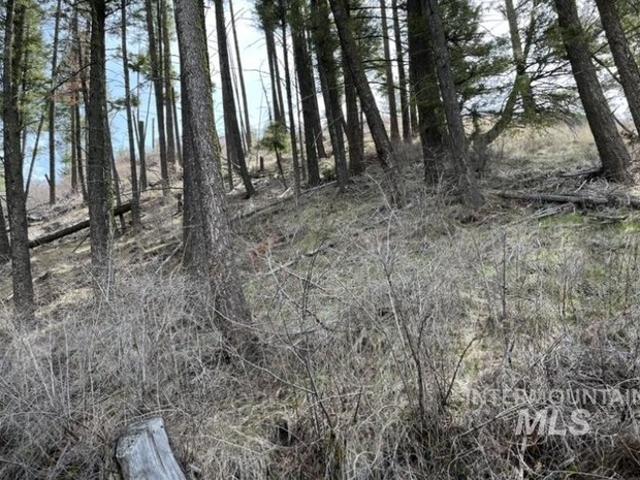 State Highway 129, Anatone, WA 99401