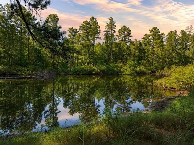 State Highway 294, Elkhart, TX 75839