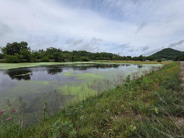 State Highway 35 Lot 0, Ferryville, WI 54627