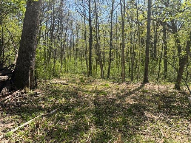 State Highway 46, Balsam Lake, WI 54810