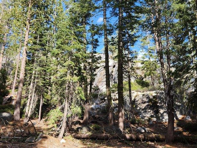 State Highway 4, Tamarack, CA 95223