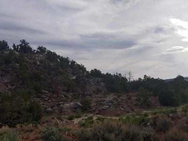 State Highway 595
