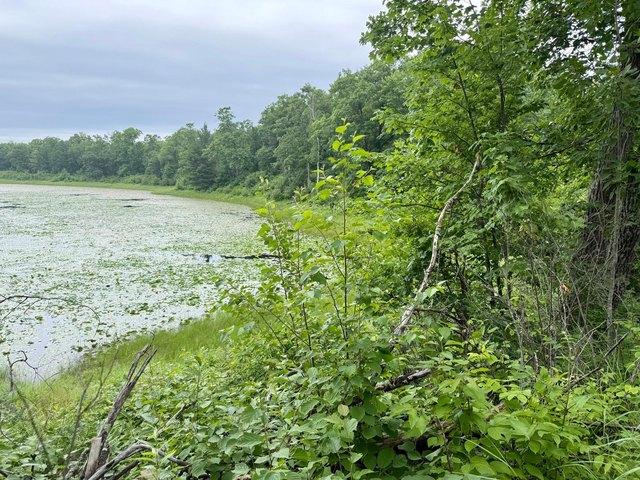 State Highway 84, Longville, MN 56655