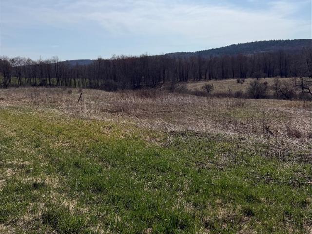 State Hwy 23