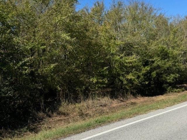 State Hwy 309 Road