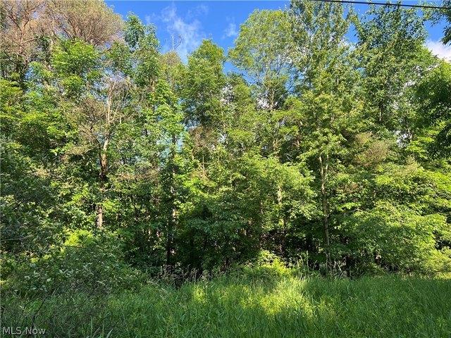 State Line Rd, Conneaut, OH 44082