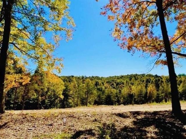 State Park Rd, Burkesville, KY 42717