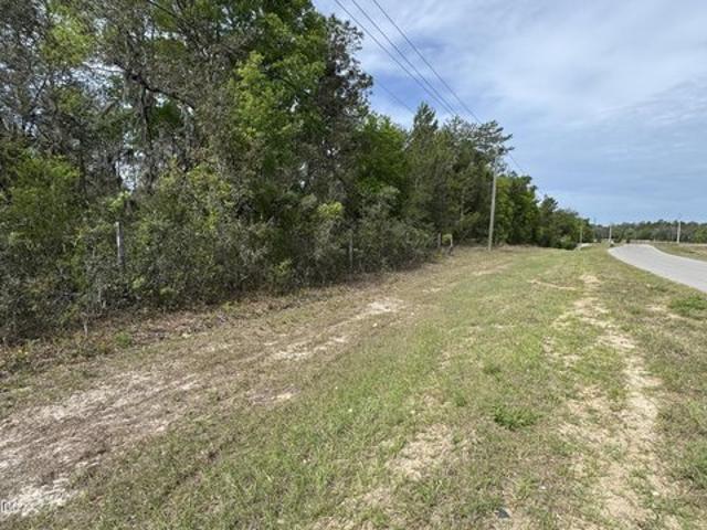 State Rd # 20, Interlachen, FL 32148