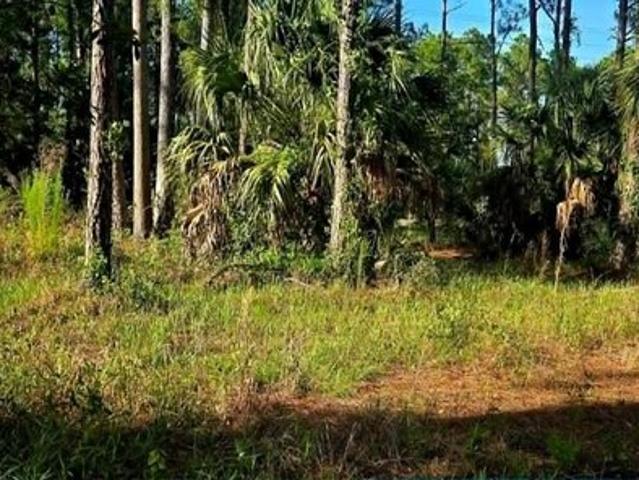 State Rd # 349, Suwannee, FL 32692