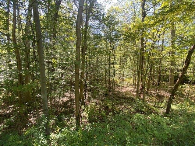 State Rd, Erving, Plot For Sale