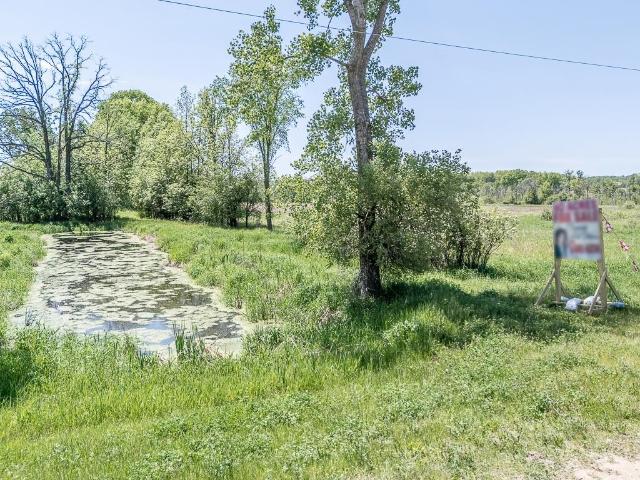 State road 54