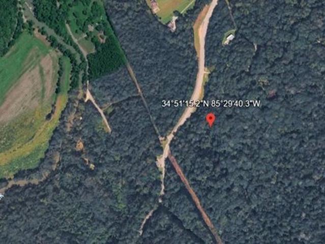State Route 136, Rising Fawn, GA 30738