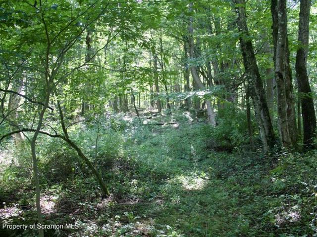 State Route 2069 Belcher Rd, Union Dale, PA 18470