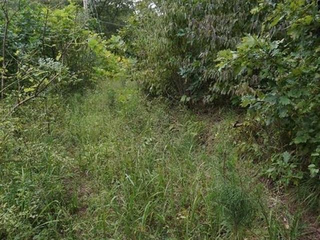 State Route 34, Hurricane, WV 25526
