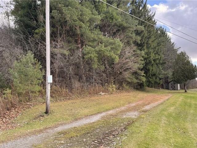 State Route,black River, Plot For Sale