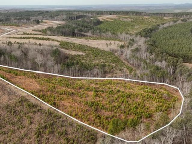 State Rt 399 Lot 13, Dunlap, TN 37327