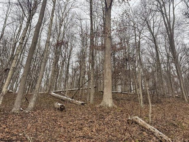 States Fork Rd Lot 1, Metz, WV 26585