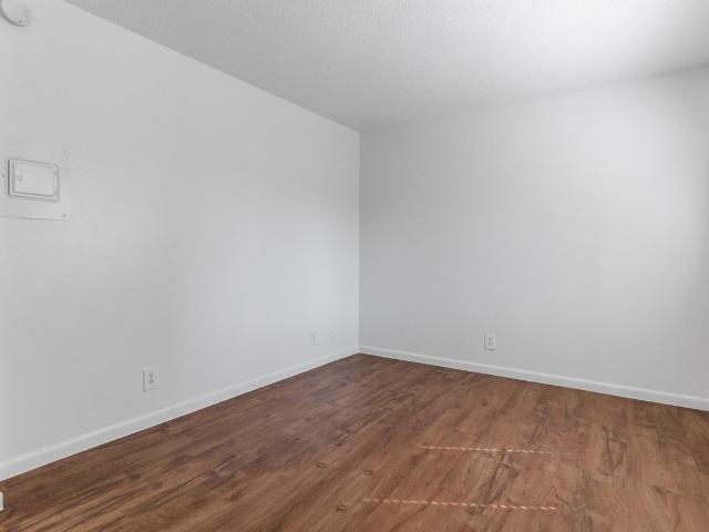 Station at Elm Creek Studio Apartment for Rent at 5050 Fredericksburg Rd, San Antonio, TX 78229