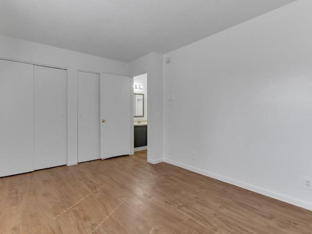 Station at Elm Creek Studio Apartment for Rent at 5050 Fredericksburg Rd, San Antonio, TX 78229