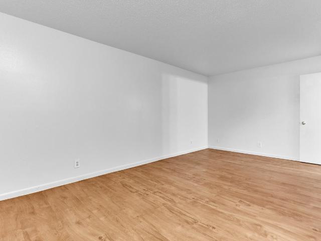Station at Elm Creek Studio Apartment for Rent at 5050 Fredericksburg Rd, San Antonio, TX 78229