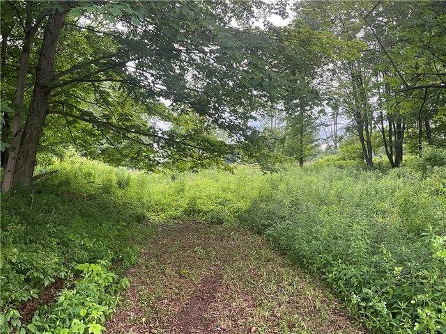 Stauber Rd, Groton, NY 13073