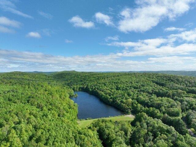 Stafford CT 06076 LS102218777