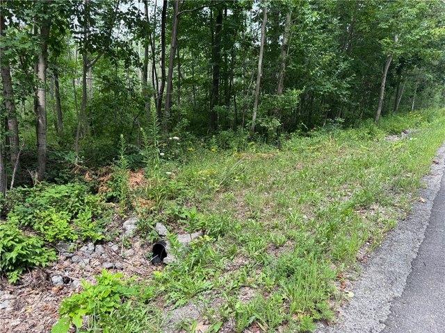 Stagecoach Rd, Conesus, NY 14435