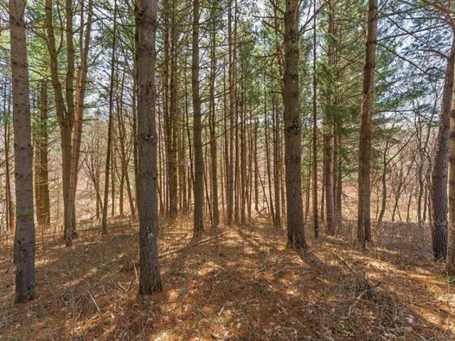 Staghorn Ct Lot 63, La Valle, WI 53941