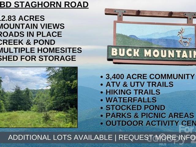 Staghorn Rd, Purlear, NC 28665