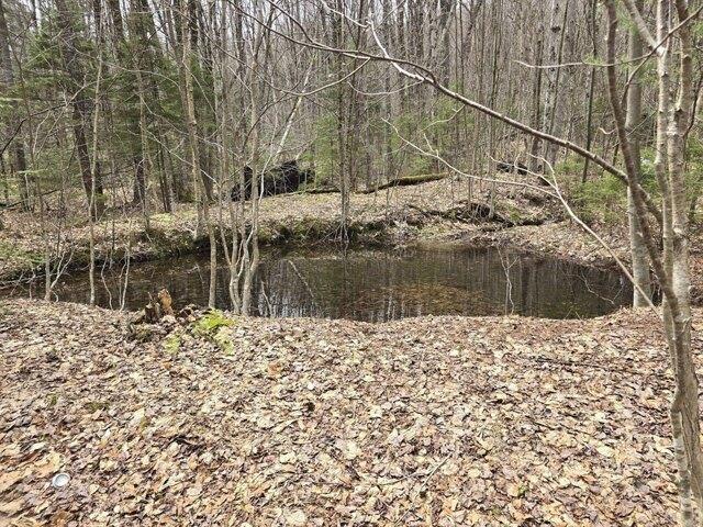 Stamford VT 05352 101858299