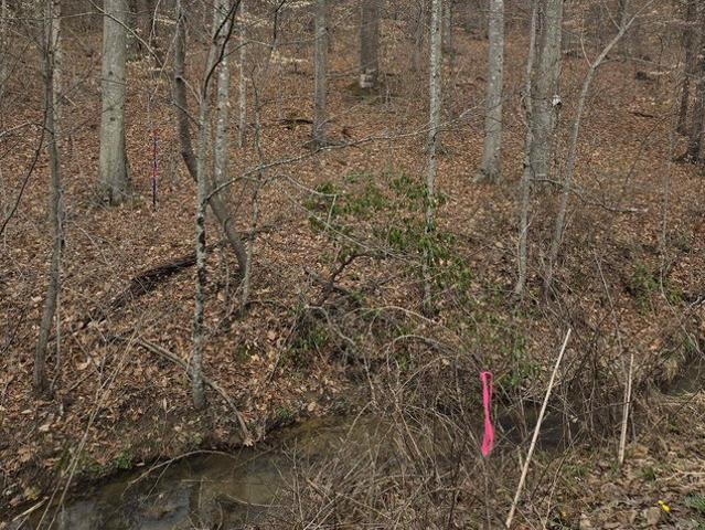 Stanaford Rd Lot 2, Hilton Village, WV 25976