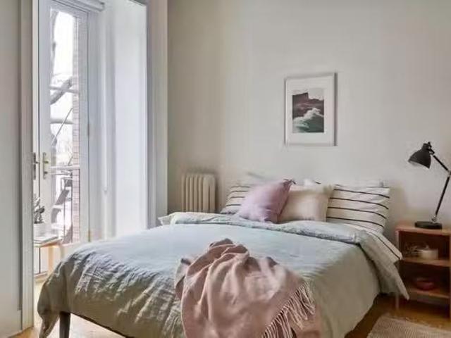 Standard Large