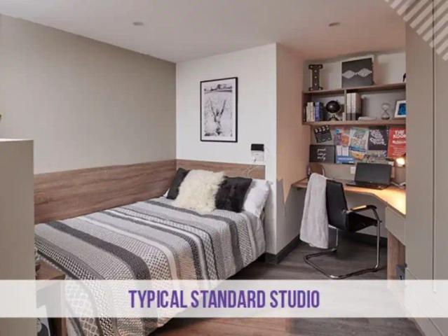 Standard Plus Studio